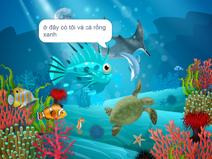 đại dương | Codekitten.vn